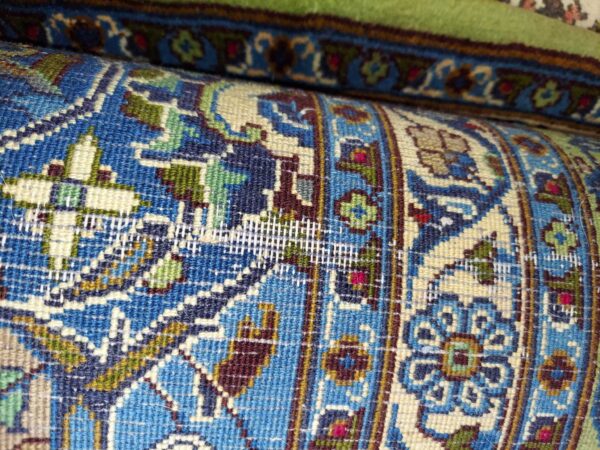 Complete Guide to Protecting Your Rugs from Moth Damage